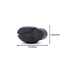 Vedic Vaani Natural Salagram Saligramam Stone Matsya Avatar Shaligram Shila Black (One Piece)