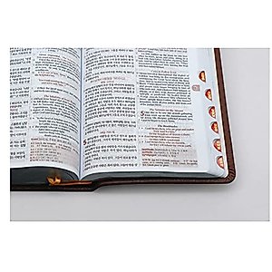 아가페 쉬운 한영성경 NLT (네이비/중/단본/색인/무지퍼) Easy Korean English NLT Bible Navy Middle Size Index Non-Zipper