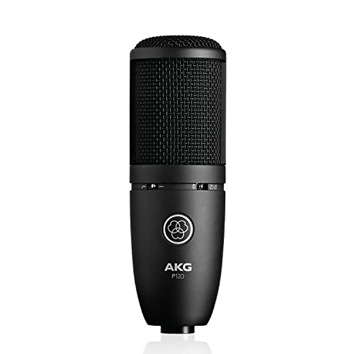 AKG Pro Audio P120 - Affordable 2/3-Inch Diaphragm Condenser Microphone for Clear Vocals & Instruments. Studio Recording or Live. XLR Connector. Black