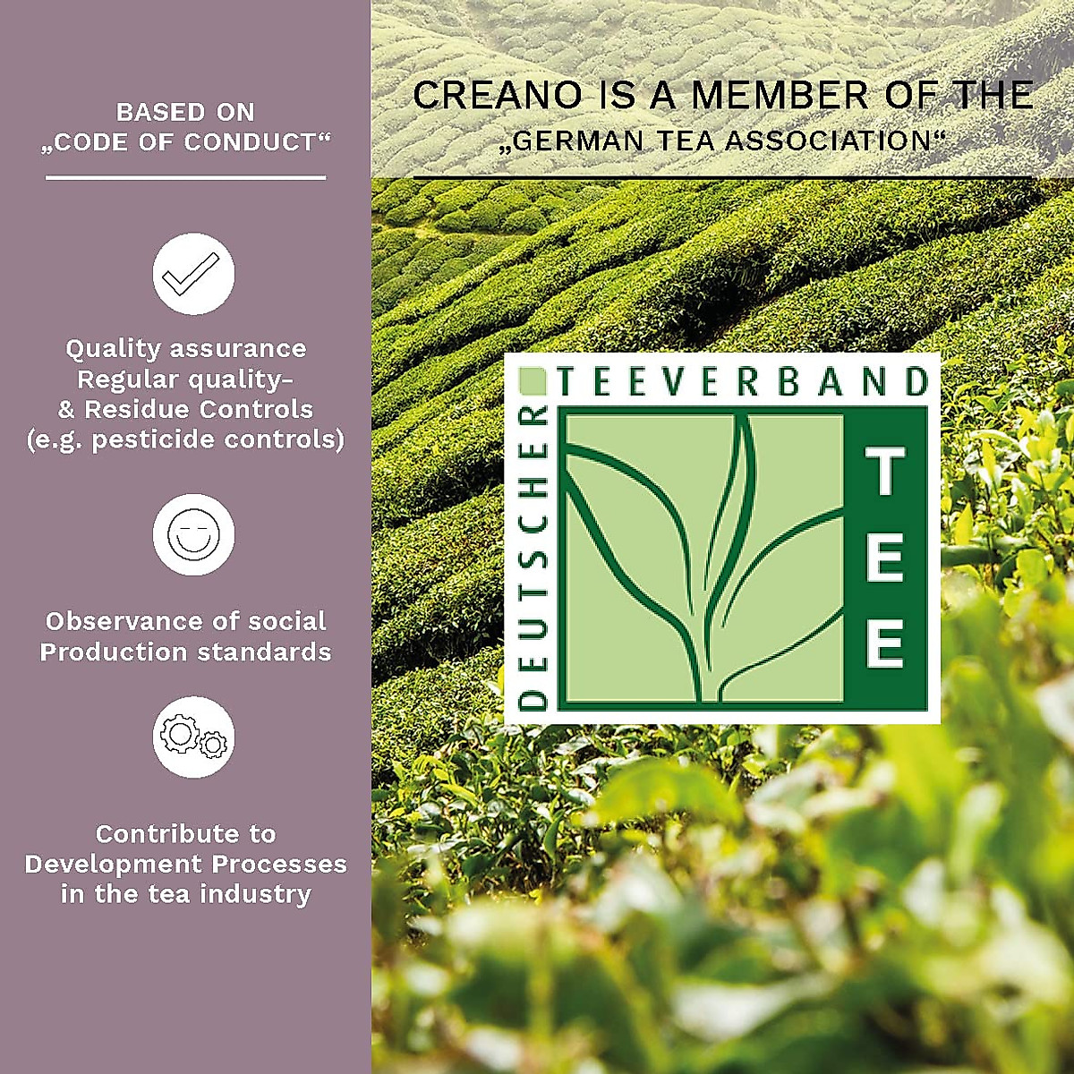 Creano Flowering Tea Abloom Tea – Flower Tea Ball Gift set with 17oz Glass Tea Pot | Black tea