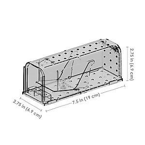 Sunnydaze Humane Mouse Trap - Indoor for Home - Outdoor Mouse Traps - Child and Pet Safe - Reusable - 2-Pack