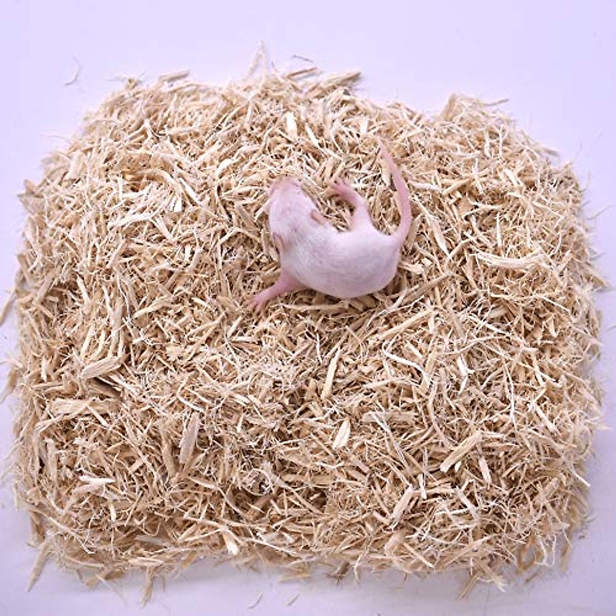 MiceDirect Frozen Mice Combo Pack of 50 Small Fuzzie & Fuzzie Feeder Mice – 25 Small Fuzzies & 25 Fuzzies - Food for Corn Snakes, Ball Pythons, & Pet Reptiles - Snake Feed Supplies