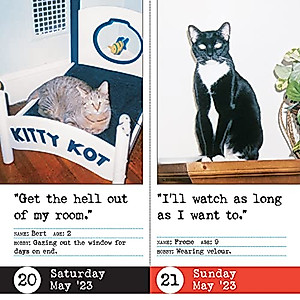 Bad Cat Page-A-Day Calendar 2023: 365 Not So-Pretty Kitties