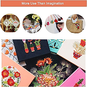 Premium Rainbow Color Embroidery Floss with Cotton for Cross Stitch Threads, Bracelet Yarn, Craft Floss, Aroic Embroidery Floss Set (250 Colors)