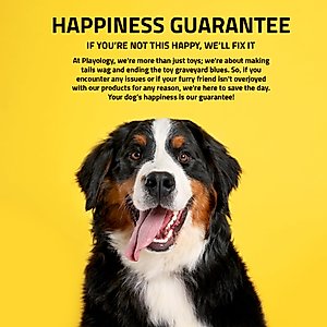 Playology Dual Layer Ring Toy for Medium Dogs up to 50lbs | Engaging All-Natural Beef Scented Durable Dog Chew Toy for Power Chewers, Easy to Clean, Interactive & Non-Toxic