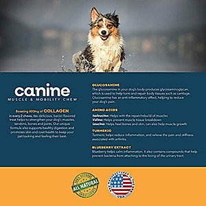 MYOS Canine Muscle & Mobility Chews – Natural Collagen & Glucosamine for Dogs - Bacon Flavor Joint Supplement for Muscle, Bone & Joint Support, 60 Count