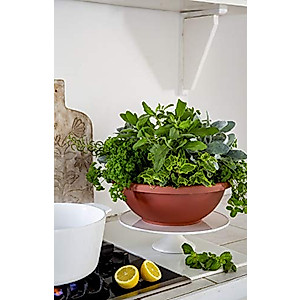 The HC Companies 22 Inch Large Garden Bowl Planter - Shallow Plant Pot with Drainage Plug for Indoor Outdoor Flowers, Herbs, Warm Gray