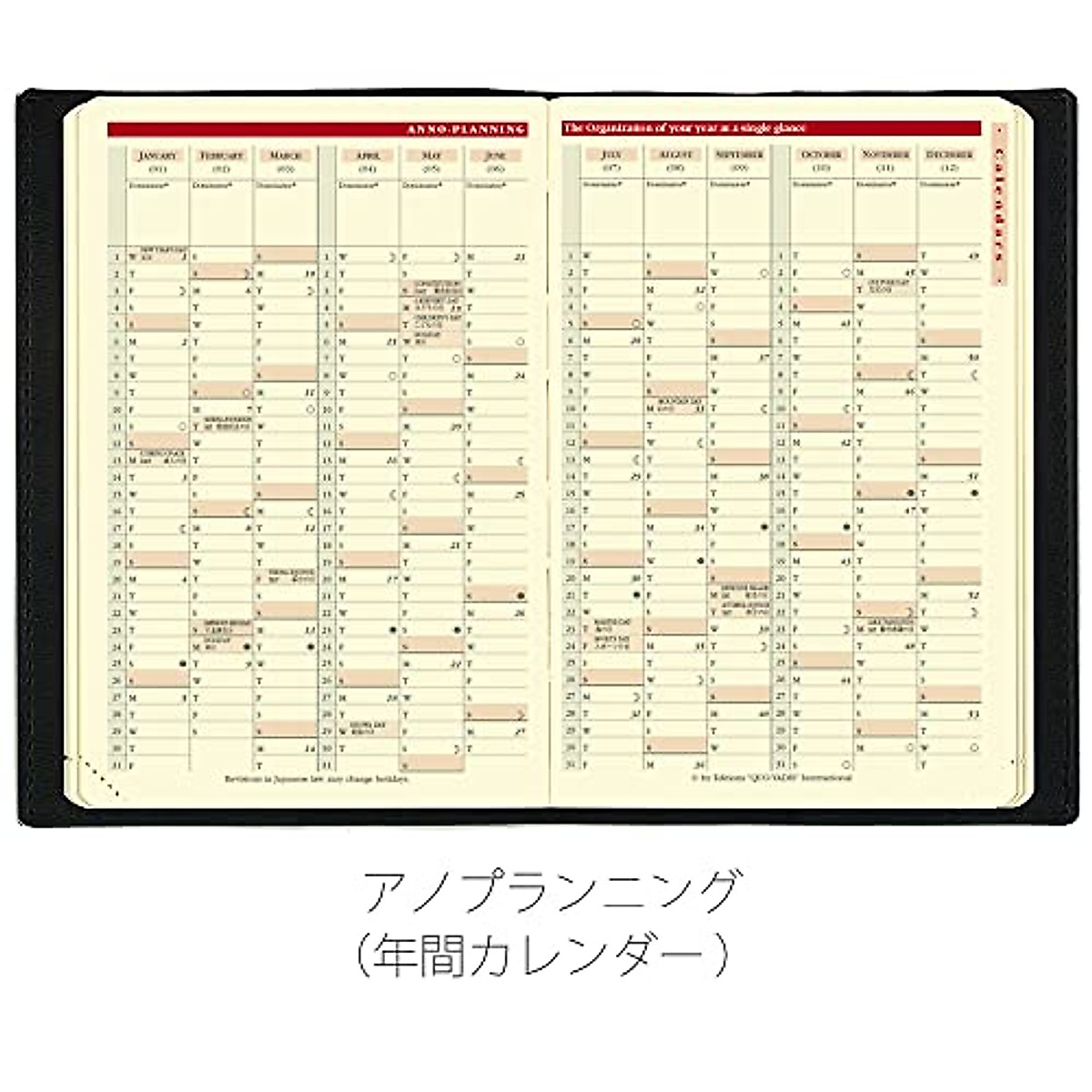 Quo Vadis QV28502ap Diary (Business Prestige/Club) (Weekly Vertical, Begins December 2023, A6 Transformation, 3.9 x 5.9 inches (10 x 15 cm)), Apricot (2024 Edition)