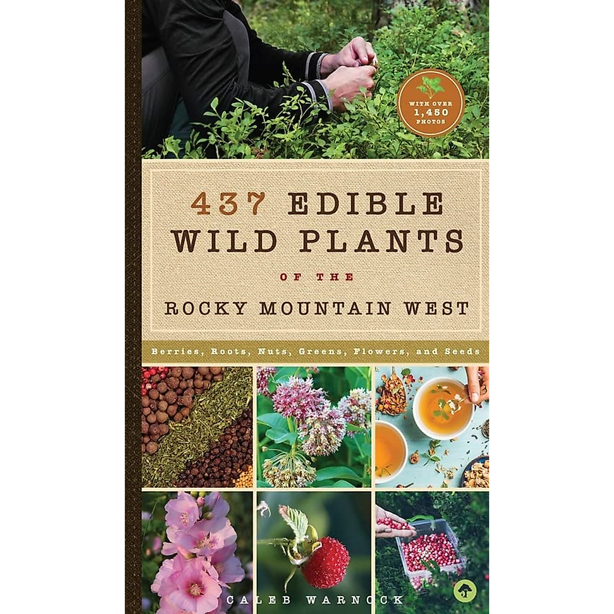 437 Edible Wild Plants of the Rocky Mountain West: Berries, Roots, Nuts, Greens, Flowers, and Seeds