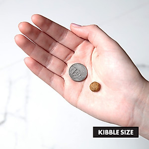 NUTRO NATURAL CHOICE Adult Dry Dog Food, Beef & Brown Rice Recipe Dog Kibble, 28 lb. Bag