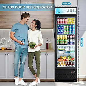 FreezLabs Glass Door Refrigerator Commercial Beverage Refrigerators with LED Light, 12 cu.ft and 5 Shelves, Display Refrigerator for Cafe Restaurant Store Bar, ETL/NSF Approved