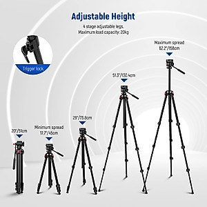 NEEWER 63"/160cm Travel Tripod, Portable Aluminum Video Tripod with Pan Tilt Fluid Head Compatible with Panasonic Sony Canon JVC Mini DV Camcorder, DSLR Camera, Max Load 17.6lb/8kg, TP22