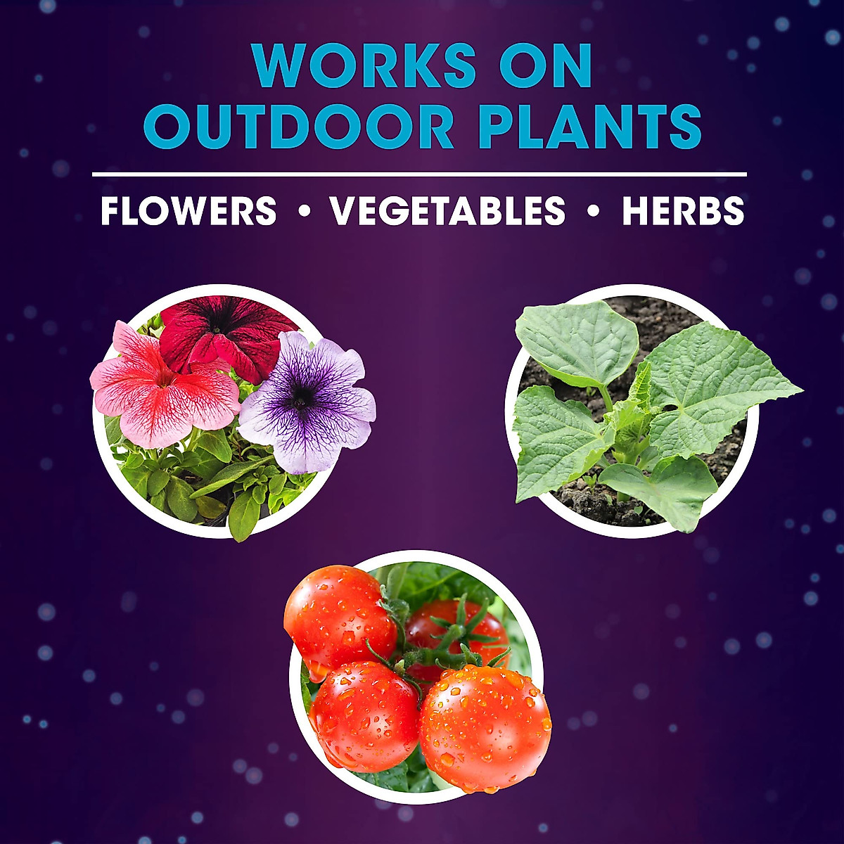 Miracle-Gro Rescue Outdoor Plant Potion - 3-Step Garden Saver - Plant Food to Revive Yellowing, Wilting Plants in 7 Days