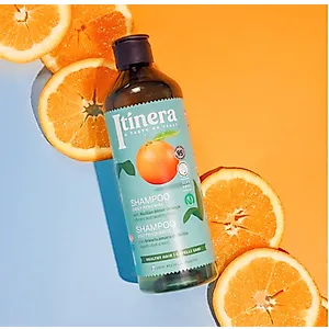 ITÍNERA Itinera Daily Renewal Shampoo with Sicilian Bitter Orange (12.51 fl oz) - for Vibrant and Healthy Hair - Vegan Friendly - 95% Natural Origin Ingredients