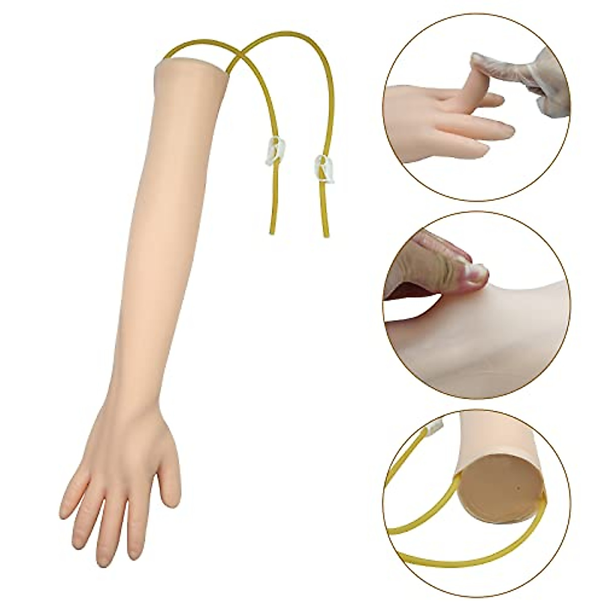 IV Practice Arm - Anatomy Lab IV Training Kit,Phlebotomy and Venipuncture Practice Arm,Model for Training and Perfecting IV/Phlebotomy/Venipuncture Procedures and Techniques