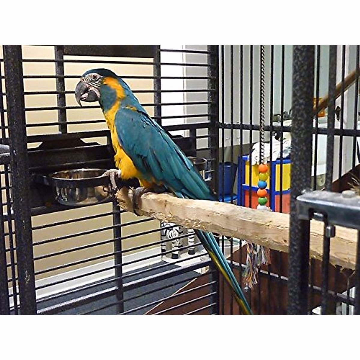 Natural Inspirations Parrot Cages Birdy Bracket 2x4 Holders (Black and Silver)