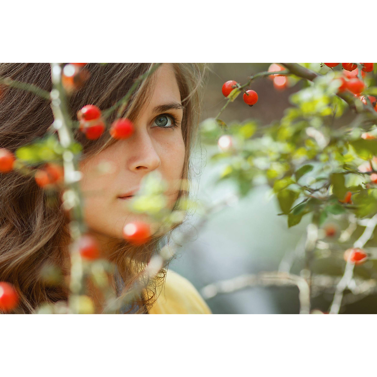 Olivia Care Rosehip Seed Oil Serum Natural Moisturizer for Face, Body & Skin with Vitamins E, C, A & Omega 6, Perfect for Treating Wrinkles, Acne Scars, Sun Spots, Dark Circles & Anti-Aging - 1 OZ