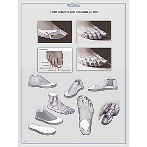 Anatomy For Sculptors, Understanding the Human Figure