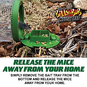 Billy Bob Multi-Catch Mouse Trap