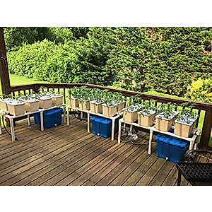 Dutch Bucket/Bato Bucket Siphon Elbows, Hydroponic, Black - 10 Pack