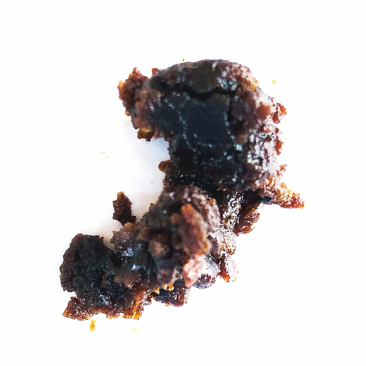 Squirrel Butter Paste Bait 8 Ounce | Irresistible Sweet Scented & Highly Attractive Lure for Red & Grey Squirrels Chipmunks | Good All Season Long