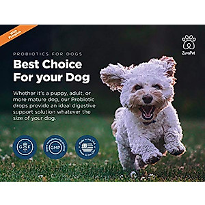 Probiotic for Dogs with Natural Digestive Enzymes. A Prebiotics + Digestive Enzyme Product for Dogs + Pumpkin. 120 Servings. Diarrhea & Upset Stomach Relief + Gas, Constipation, and Allergy Relief.