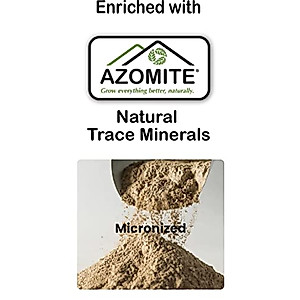 1lb Worm Basics Cornmeal Worm Food w/Azomite Trace Minerals by The Worm Ferm