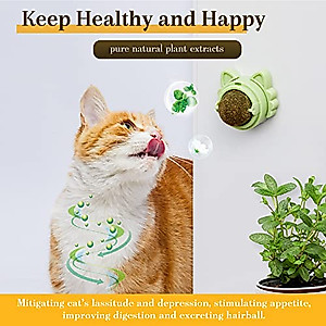 PODOO Catnip Toys for Cats, 3 Pack Edible Balls for Teeth Cleaning, Self-Adhesive and Rotatable Kitten Chew Toy, Safe and Healthy Wall Cat Toys