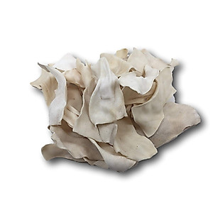 Natural & Roasted Rawhide Chips for Dogs Bulk Rawhide Dog Treats - 1LB & 3LB Bags (1 LB (Pack of 1), Beef)