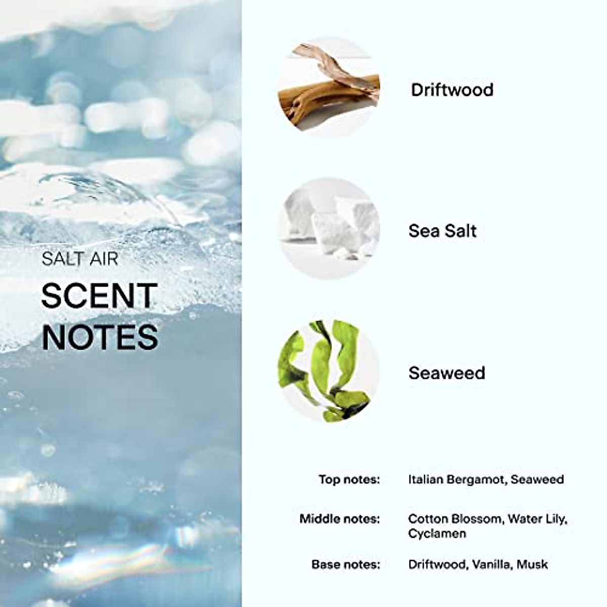 Skylar Salt Air Eau de Parfum - Hypoallergenic & Clean Perfume for Women & Men, Vegan & Safe for Sensitive Skin - Fresh Perfume with Notes of Driftwood, Sea Salt & Seaweed - 10mL /0.33 Fl oz