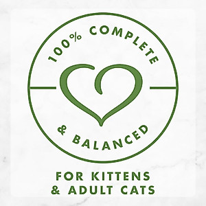 LAIBY Fancy Feast Wet Cat Food | Gravy Lovers Salmon Feast in Seared Salmon Flavor Gravy | Fancy Feast Kitten Wet Food | 3 Oz Can (Pack of 12)