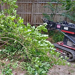 Titan Attachments Mini Skid Steer Stump Bucket Attachment, Stump Bucket for Compact Skid Steer with Toro Style Mounting, Serrated Leading Edge & Replaceable Teeth, Durable Mini Excavator Bucket