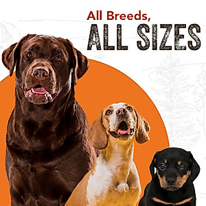 Gaines Pet Natural Cow Ear Dog Treats - Grass-Fed, Free-Range, High Protein, Low Fat, Promotes Dental Health, Suitable for All Dog Sizes and Breeds, 40 Count