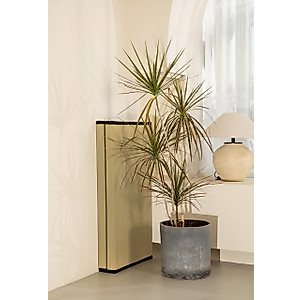 MustMat Tatami Mat Twin XL Japanese Floor Mattress Foldable Bed Frame with Storage Bag Rush Grass 39 x80 x1.4 in (Black)