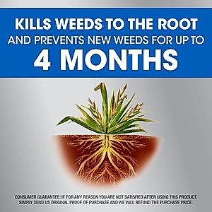 Roundup Dual Action Weed & Grass Killer Plus 4 Month Preventer with Sure Shot Wand, 1 gal.