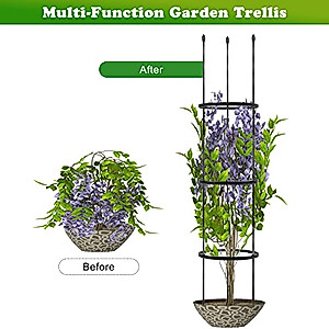 2 Pack Garden Trellis, 2 in 1 Plant Cages & Supports for Vines Crop, Plant Trellis for Climbing Plants Indoor Outdoor, Plant Stake for Flower, Vegetable, Tomato,Vines, Pot Trellis for Potted Plants