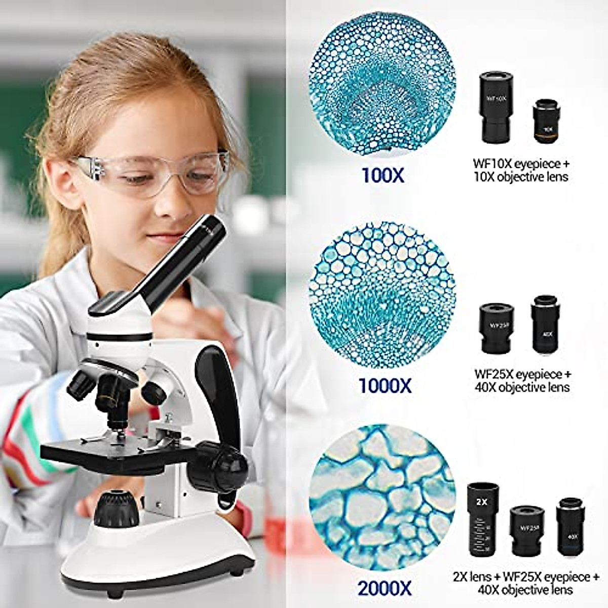 Microscope for Adults, 40~2000x Compound Monocular Microscope with Storage Bag, Slides, Phone Adapter-for School, Home Education, Science Lab