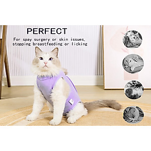 Acoutpet Cat Recovery Suit Female Kitten Cat Onesie for Cats After Surgery Female Spay Surgical Abdominal Wound Skin Diseases Cone Collar Soft Alternative Wear (Purple, S)