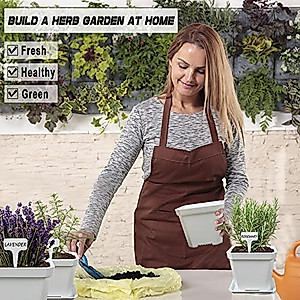 Herb Grow Kit, 10 Herb Seeds Garden Starter Kit, Complete Potted Plant Growing Set Including White Pots, Markers, Nutritional Soil, Watering, Herb Clipper for Kitchen Herb Garden DIY