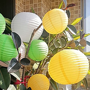 Chinese Style Paper Lanterns, Set of 5, Suitable for Party Decoration (Yellow, 10in)