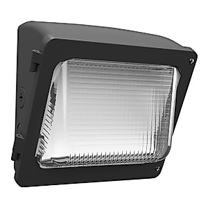 RAB Lighting RAB WPX1 30 Watt LED Wall Pack 4739LM Fully Adjustable Wattage and Color, 120-277 Volt, Semi Cutoff, Bronze, Glass Lens, 0-10V Dimming to 10%, DLC Premium