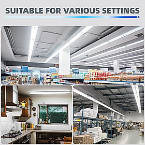 Barrina T8 Led Bulbs 4 Foot, Led Bulbs 4FT 5000K, Plug & Play or Ballast Bypass, Fluorescent Replacement, 18W 2300LM, Single-End & Dual-End, 16 Packs