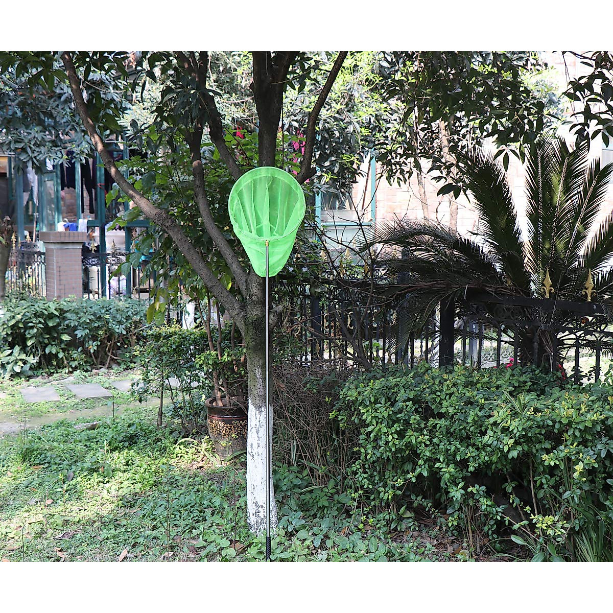 RESTCLOUD Bait Net and Fishing Landing Net with Telescoping Pole Handle Extends to 59 inches (Green)