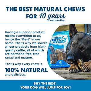 Best Bully Sticks Premium 12 Inch Beef Trachea Dog Chews (12 Pack) - All-Natural, Grain-Free, 100% Beef, Single-Ingredient Dog Treat Chew - Promotes Dental Health