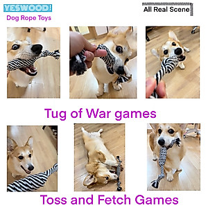 YESWOOD! Puppy Rope Toys for Small Dogs, Rope Candy Toys, Puppy Dental Cleaning Chew Toys Knots Dog Rope Toy for Aggressive Chewers Smart Newborn Pet and High Active Puppies (4 Packs)