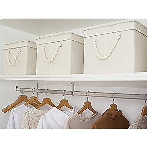 StorageWorks Underbed Storage Box and 32L Storage Bins with Lids
