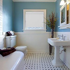 CALYX INTERIORS Blackout Roller Shade with Valance, Thermal Insulating Blind, Cordless, 22" W x 60" H, Simple White