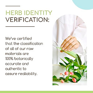 Gentian B120 Alcohol-Free Herbal Extract Tincture, Concentrated Liquid Drops Natural USDA Organic Gentian (Gentiana Lutea) Dried Root (4 fl oz)