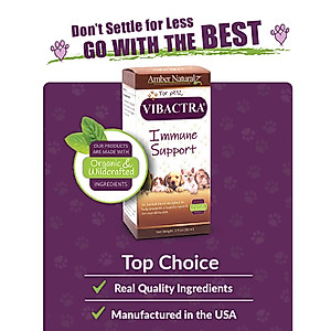 Amber NaturalZ Vibactra Immune Support Herbal Supplement for Dogs, Cats, Birds, Guinea Pigs, and Rabbits | Pet Herbal Blend for Overall Health | 1 Fluid Ounce Glass Bottle | Manufactured in The USA