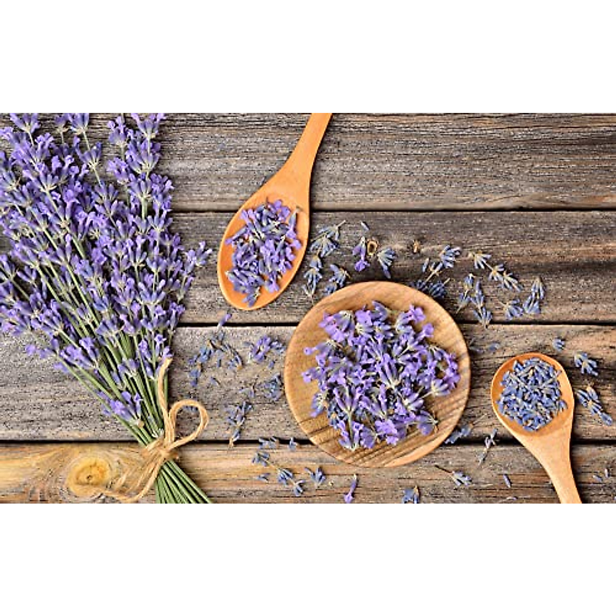 English "Vera" Lavender Seeds for Planting, 1000+ Seeds Per Packet, (Isla's Garden Seeds), Non GMO & Heirloom Seeds, Botanical Name: Lavandula angustifolia, Great Herb Garden Gift